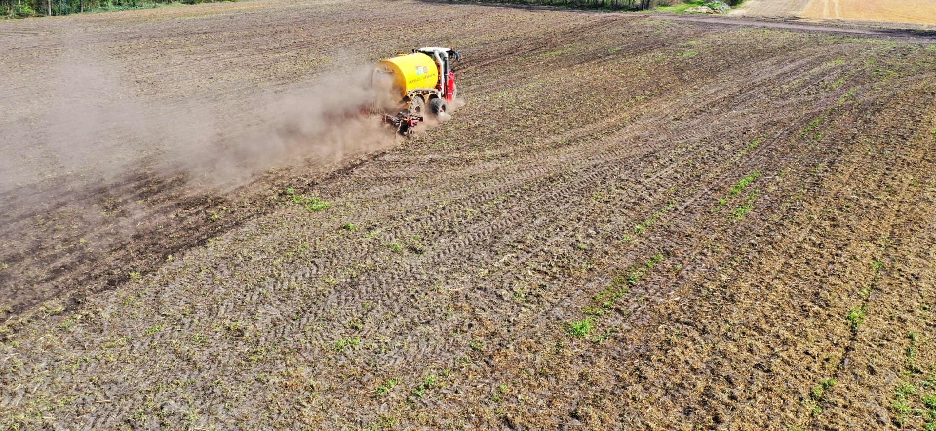 Goede mais met minder bemesting - LG Field Seeds Nederland